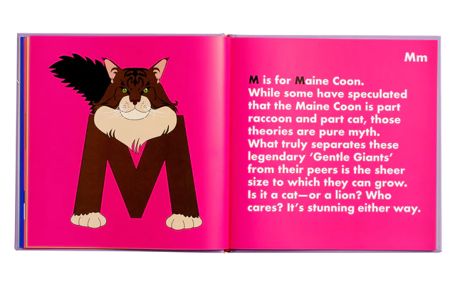Cat Legends Alphabet Book – Cheeky Baby Boutique Rome